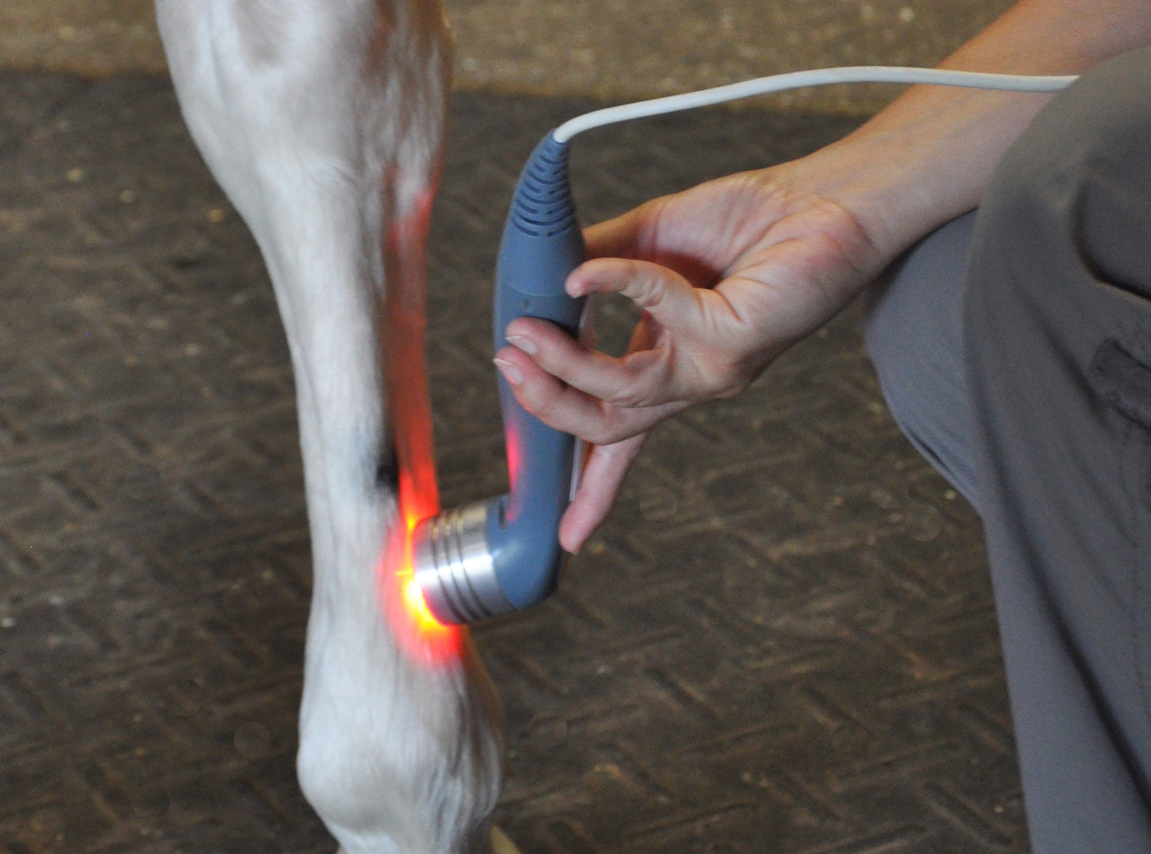 Results Equine Therapy